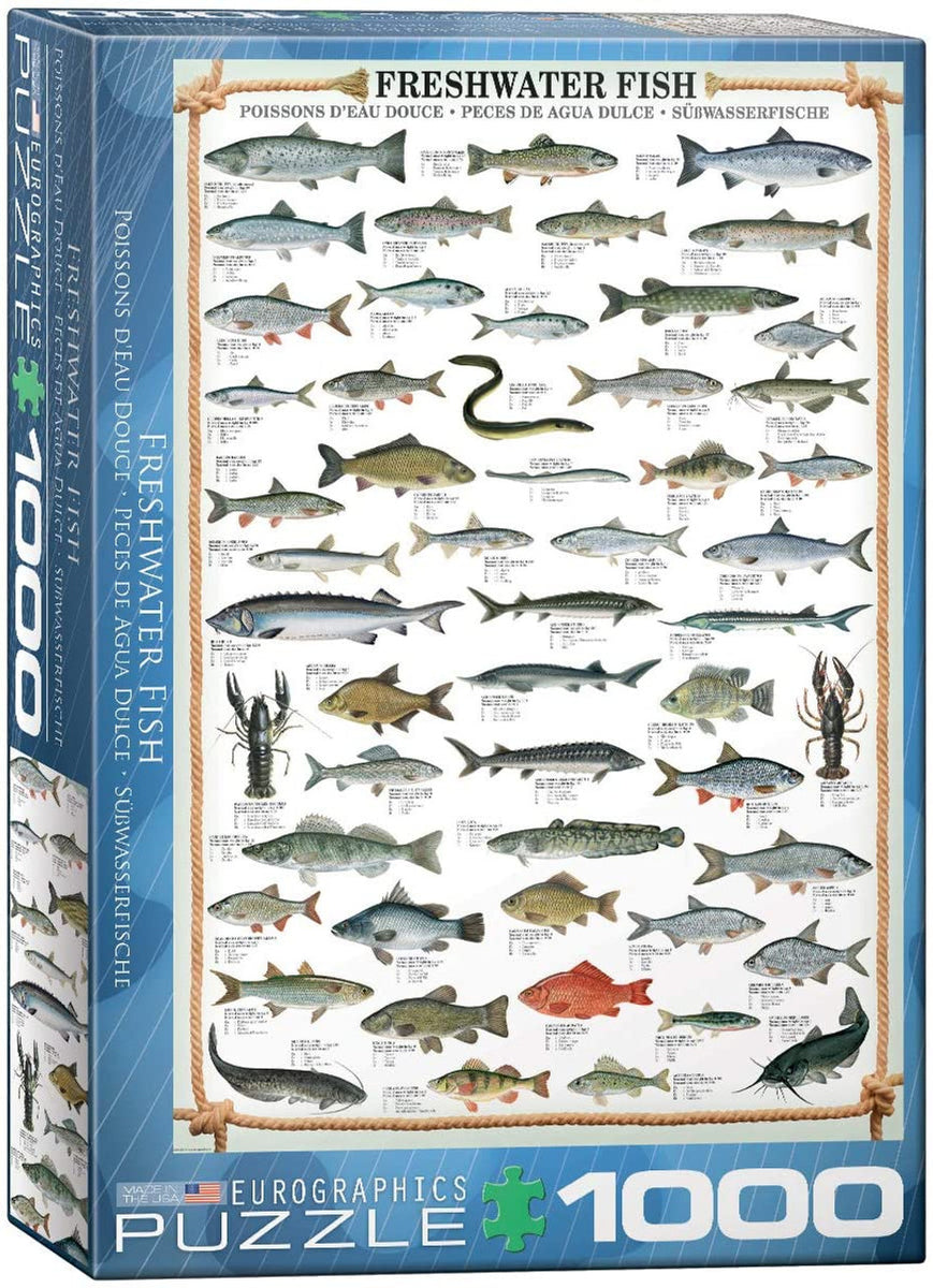 1000 Freshwater Fish – I'm Board! Games & Family Fun
