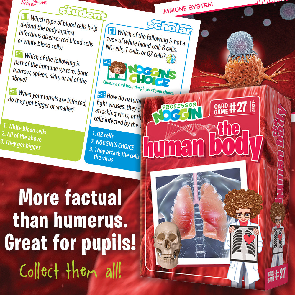 Professor Noggin The Human Body – I'm Board! Games & Family Fun
